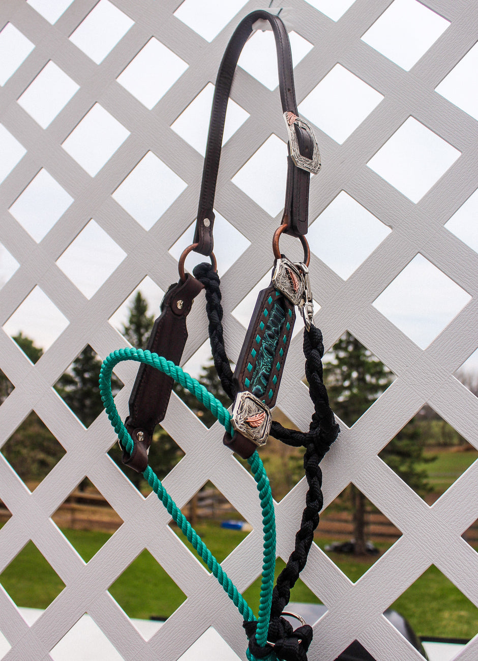 Hybrid Lariat Halters – Not Just Knots